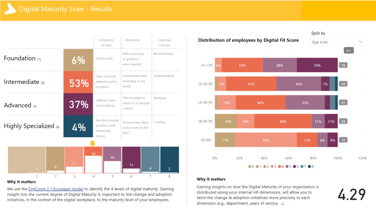 Digital Maturity Scan. - The Flow